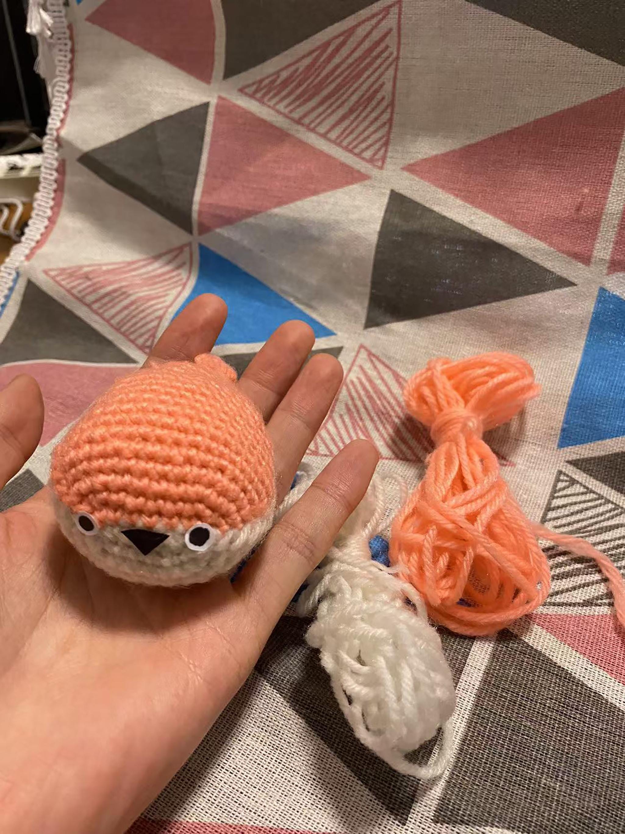 Cute Sacabambaspis Fish Crochet Pattern - How to Crochet Sacabambaspis ...