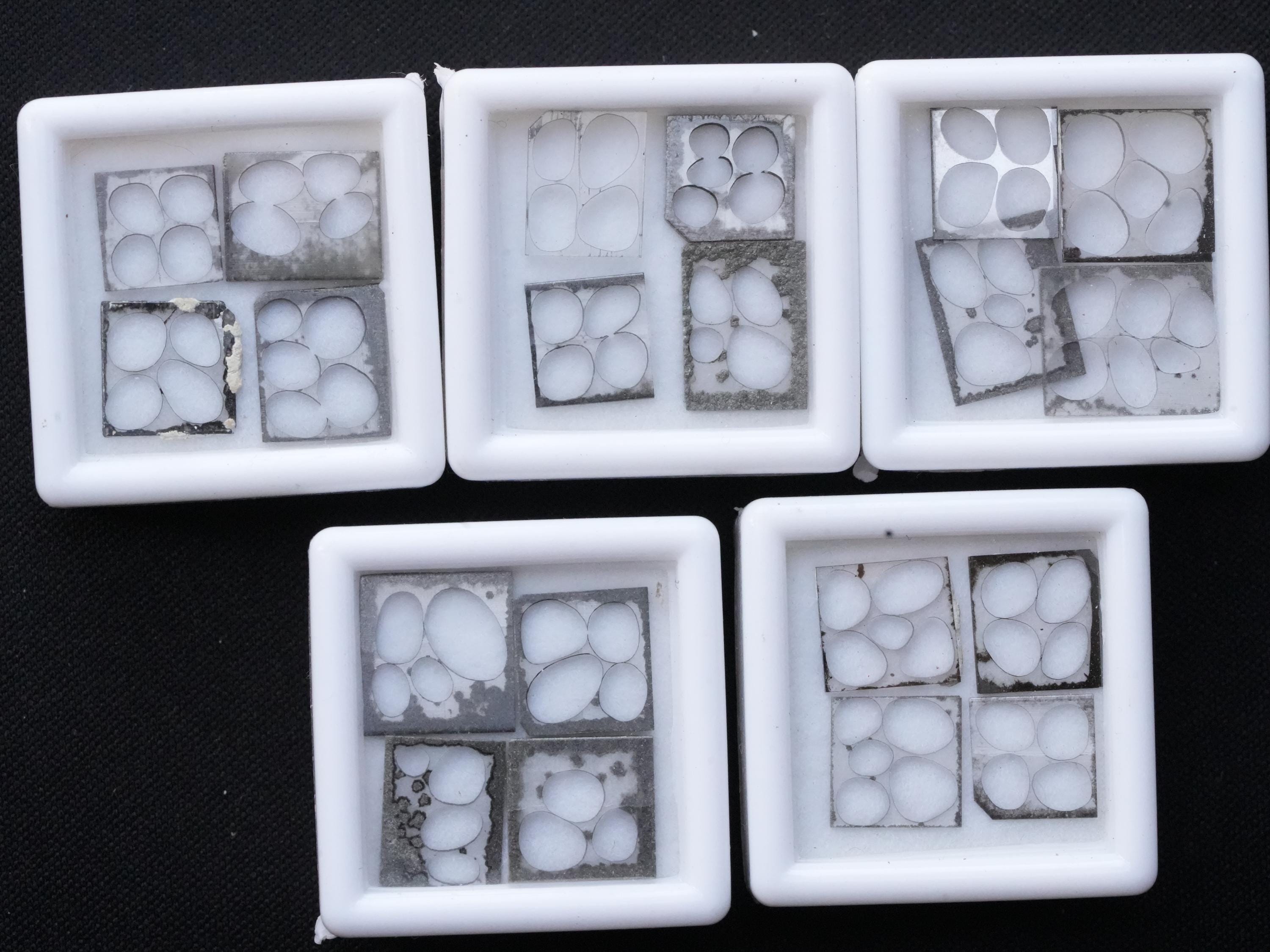 10 CTW Lab Grown CVD Diamond Slices, Flat Raw Diamonds, 20 PCS - Etsy