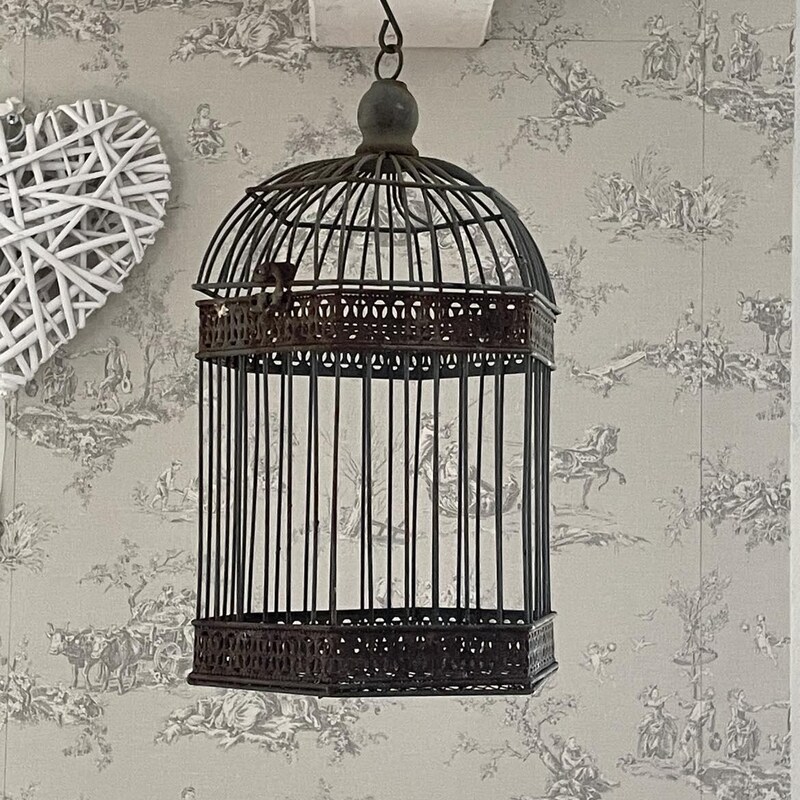 Wire Bird Cage - Etsy