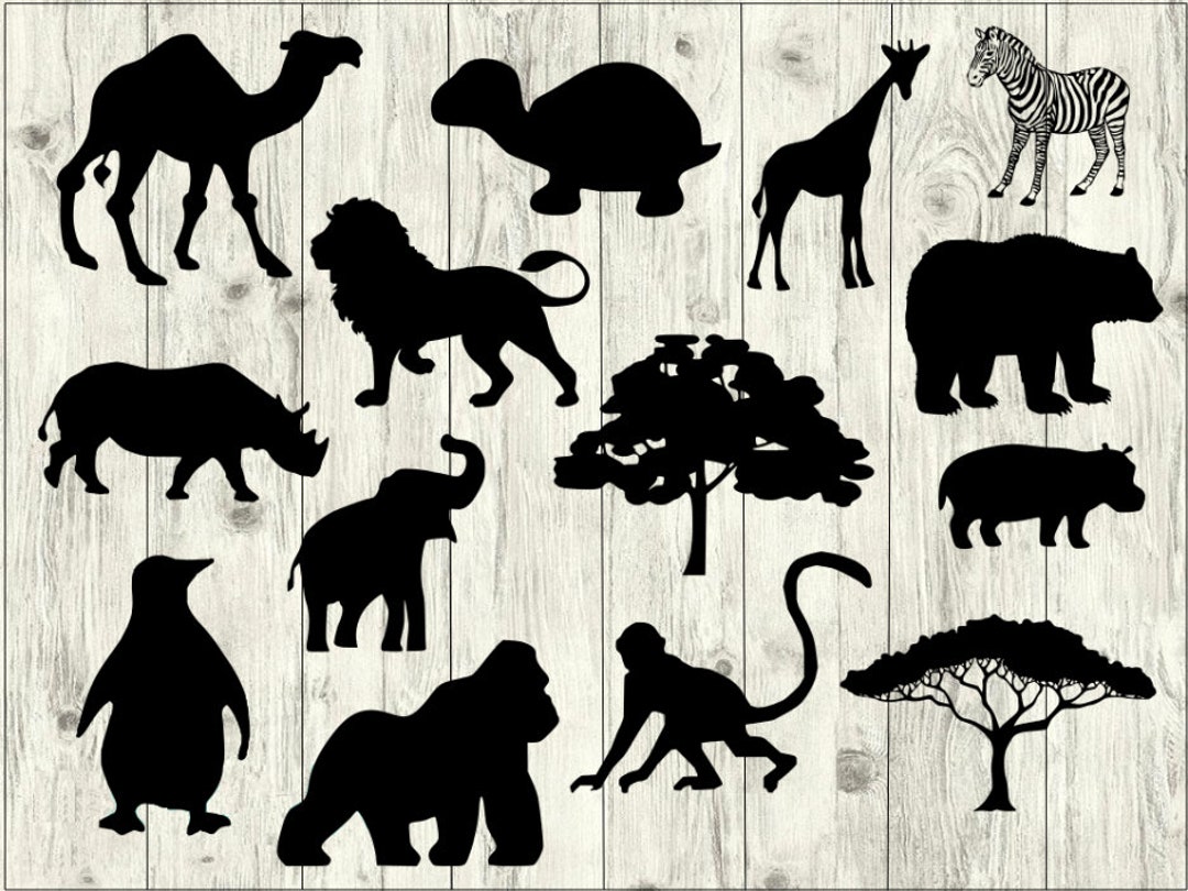 Zoo SVG Bundle, Animals SVG Bundle, Zoo Cut File, Zoo Clipart, Zoo Svg ...