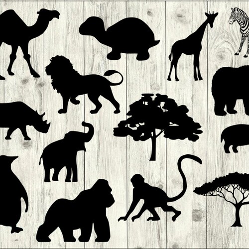 Zoo SVG Bundle Animals SVG Bundle Zoo Cut File Zoo Clipart - Etsy