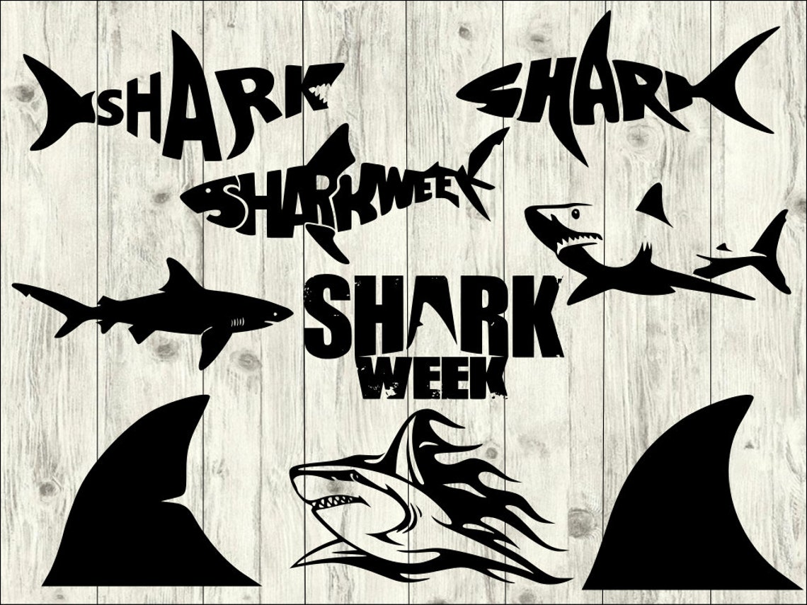 Shark SVG Bundle, Shark Week SVG Bundle, Shark Cut File, Clipart, Shark ...