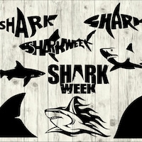Shark Week - Etsy