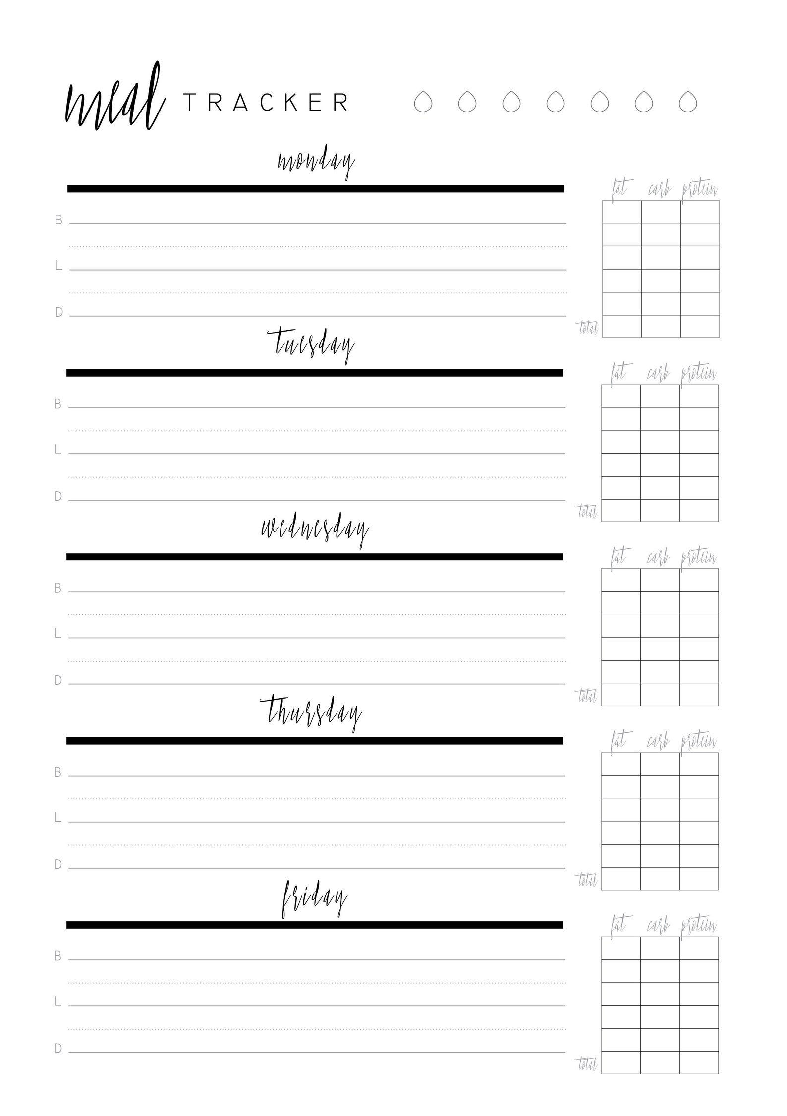 Meal Tracker Macros Printable - Etsy