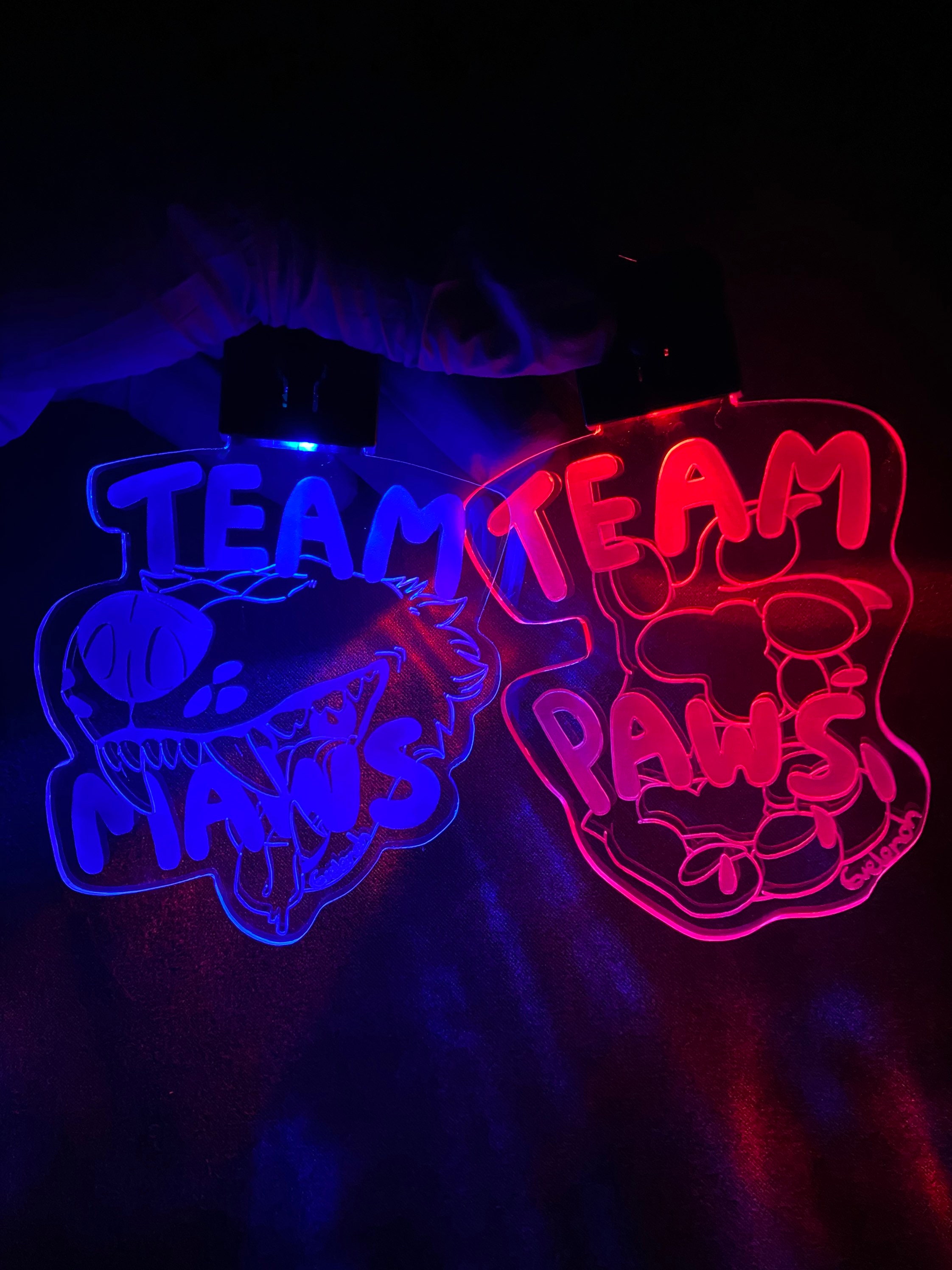 LED Team Maws/ Team Paws Acrylic Keychains - Etsy
