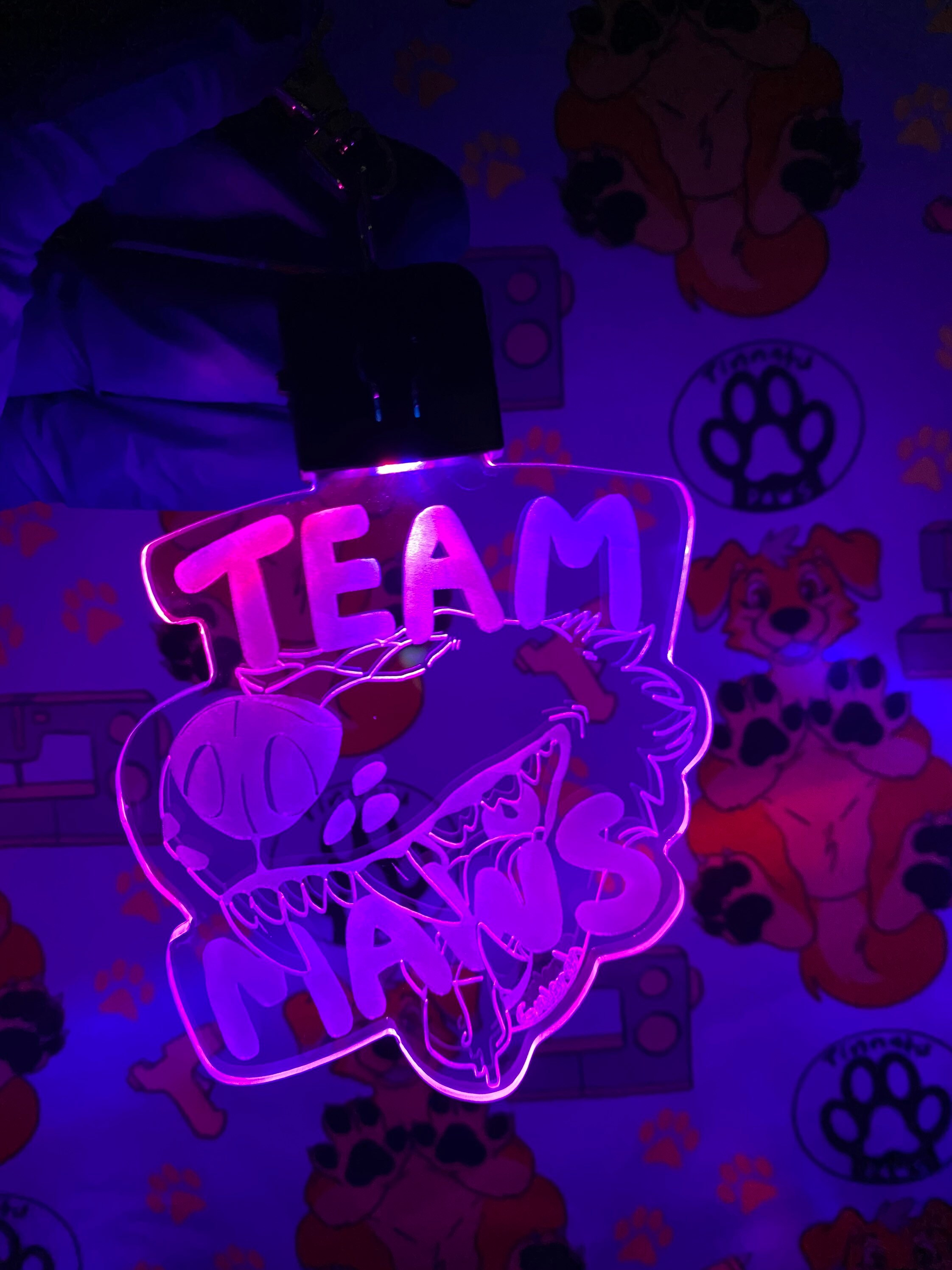 LED Team Maws/ Team Paws Acrylic Keychains - Etsy