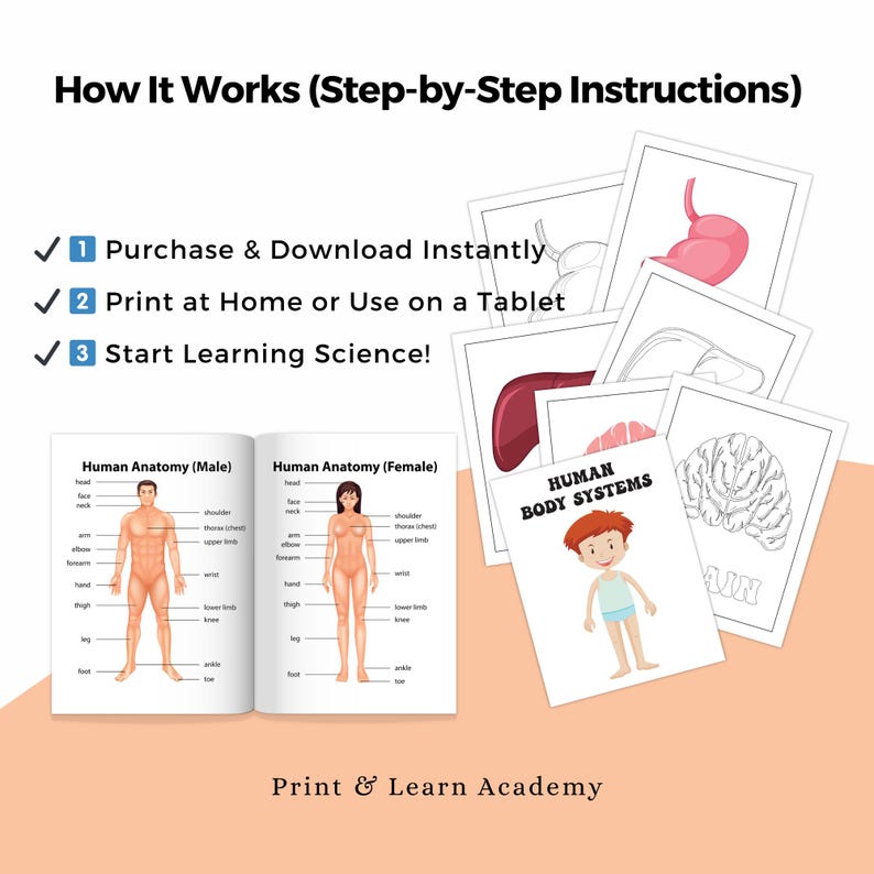 Human Body Organs & Systems Coloring Book Worksheets for Kids Printable ...