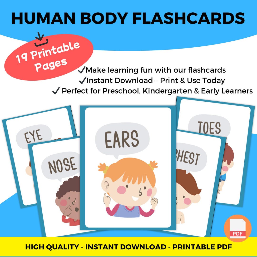 Human Body Parts Flashcards, Printable, Montessori Learning for Toddler ...