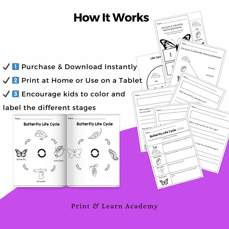 Butterfly Life Cycle Handouts, 21-page Educational Science Worksheets ...