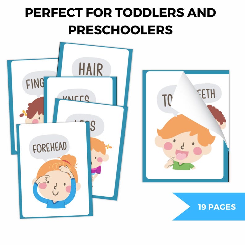 Human Body Parts Flashcards, Printable, Montessori Learning for Toddler ...