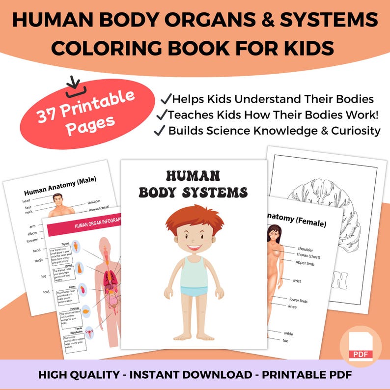Human Body Organs & Systems Coloring Book Worksheets for Kids Printable ...