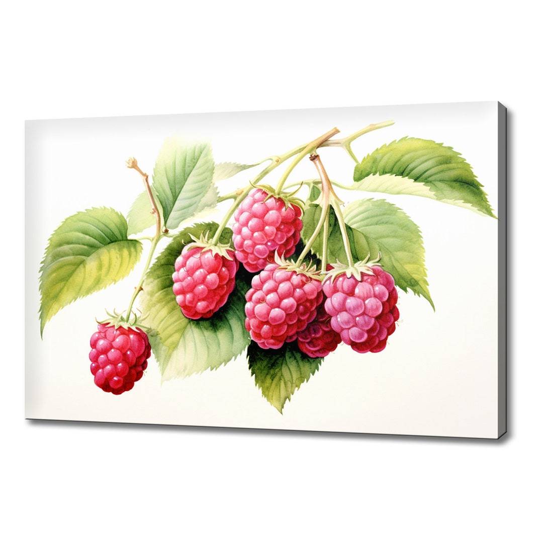 Raspberry Fruits Watercolour Painting Canvas Print, Fruits Lover Gift ...