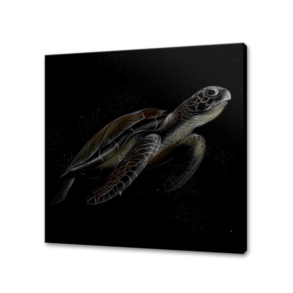 Turtle Picture Frame - Etsy