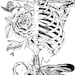 Half Alive -- Ink, Pen, Drawing, Skeleton, Bones, Flowers, Butterfly ...