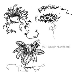 Pothos - LIMITED EDITION PRINT - Ink, Pen, Drawing, Flowers, Plants ...