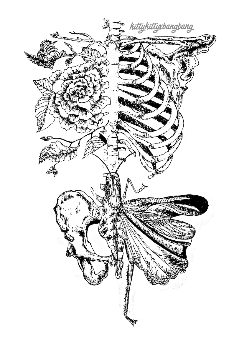 Half Alive Encre, stylo, dessin, squelette, os, fleurs, papillon ...