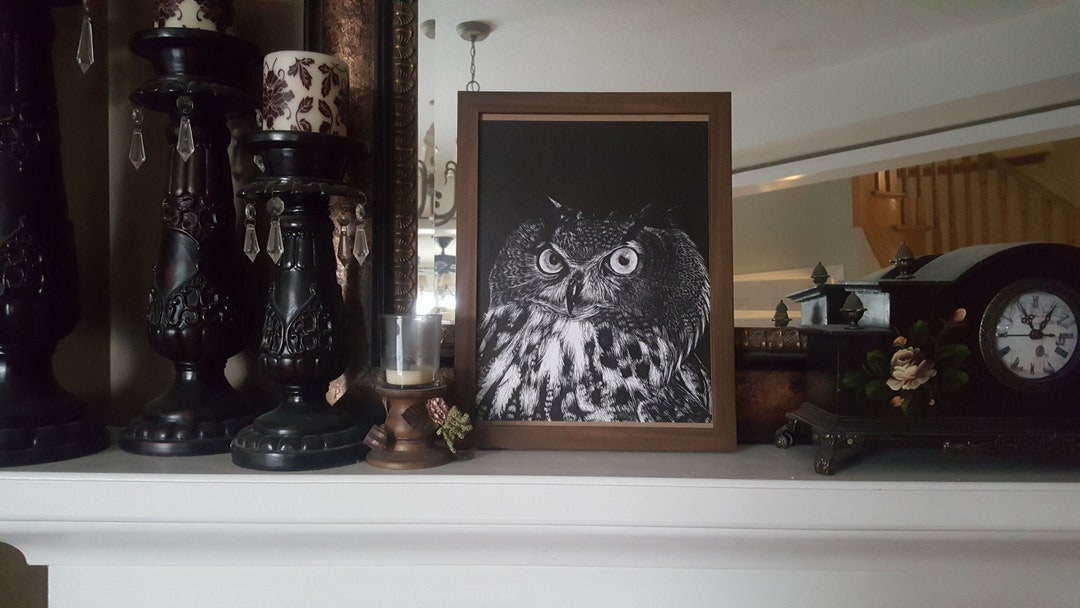 Original Owl Print Scratchboard Drawing - 4x6 / 8.5x11, Small & Medium ...