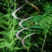 14 Hanging Pounded Copper Kinetic Wind Sculpture Double Helix - Etsy