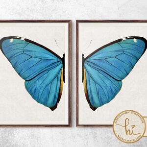 Butterfly Wings Art Prints, Set of 2 PRINTABLE Split Butterfly Wall Art ...