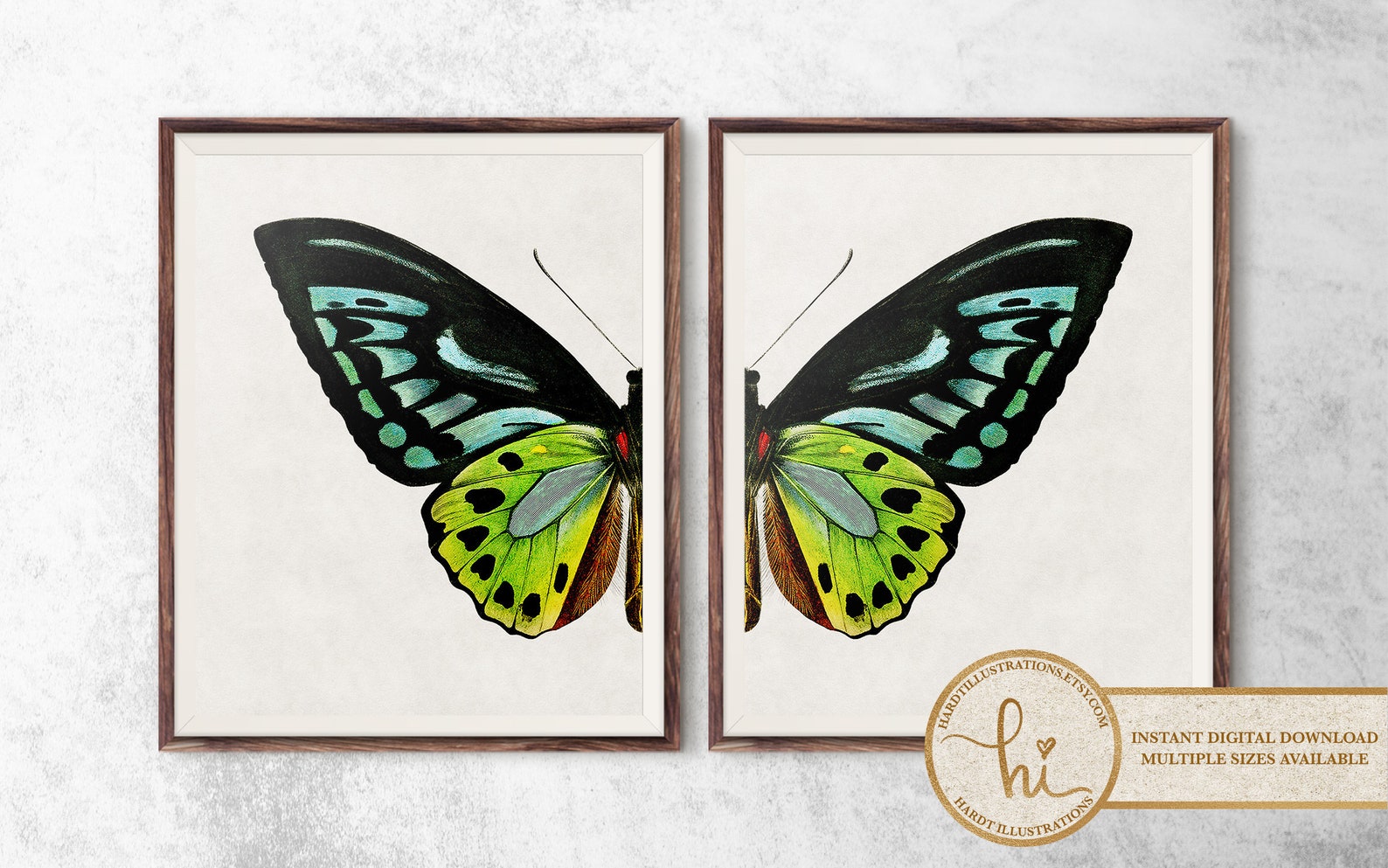 Butterfly Wings Art Prints Set of 2 PRINTABLE Split Butterfly | Etsy