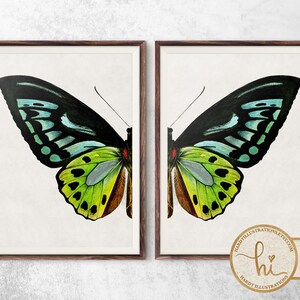 Butterfly Wings Art Prints, Set of 2 PRINTABLE Split Butterfly Wall Art ...