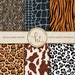 Animal Print Digital Paper Safari Digital Paper Zoo Animals - Etsy