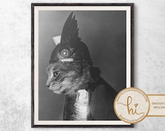 Brunnhilde Cat Photo - Etsy