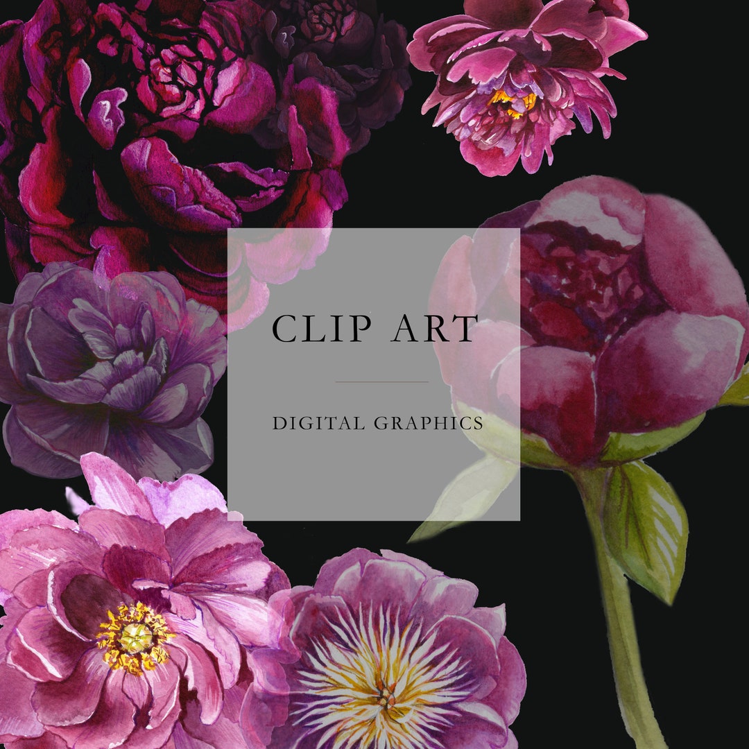 Real Flower Clip Art, Watercolor Floral Clipart, Clip Art Commercial ...