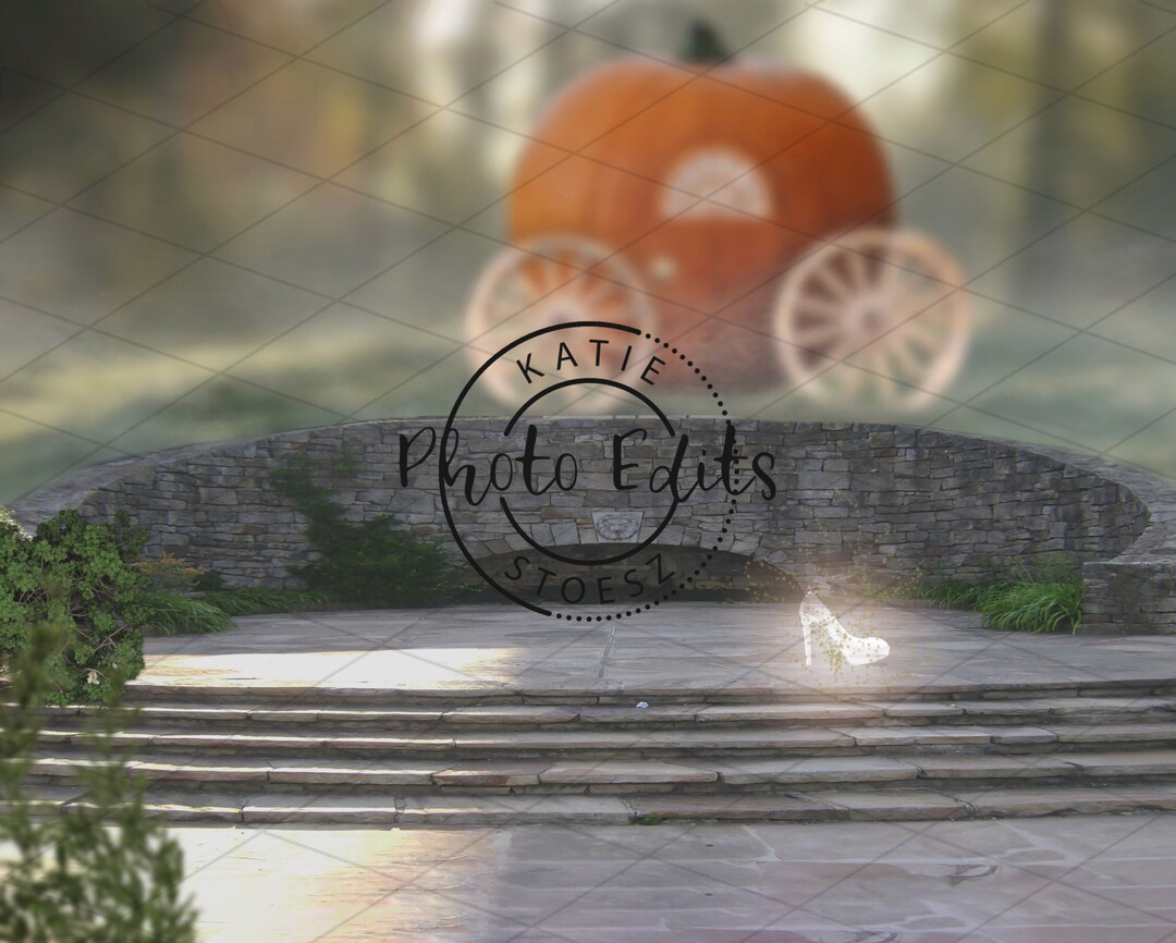 Princess Cinderella Digital Backdrop - Etsy