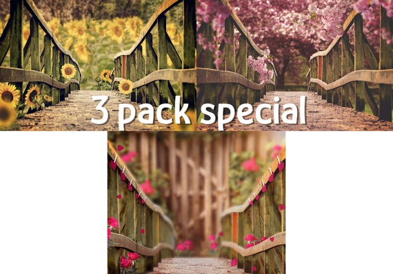 Bridge Digital Backdrop Background Special Bundle | Etsy