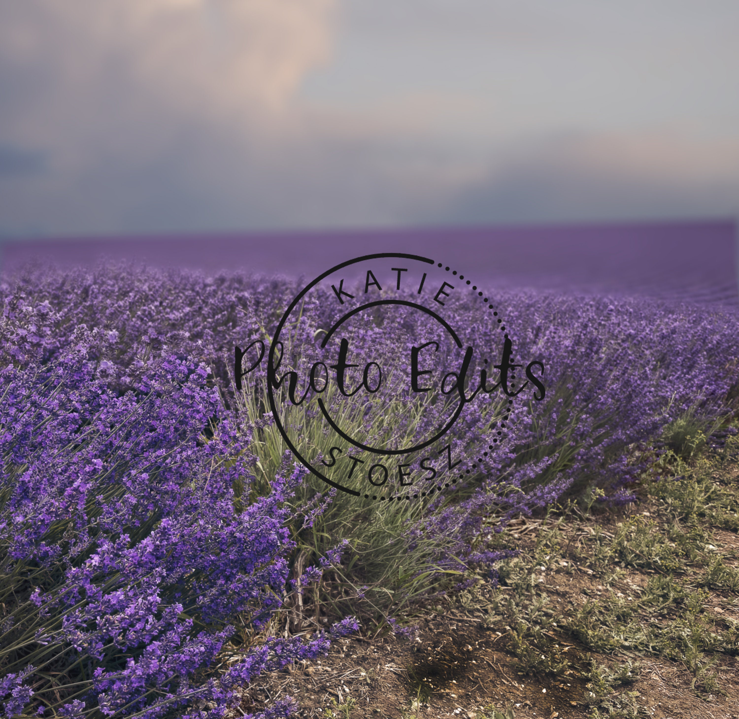 Lavender Field Digital Backdrop Background With Png Overlay Coverup ...