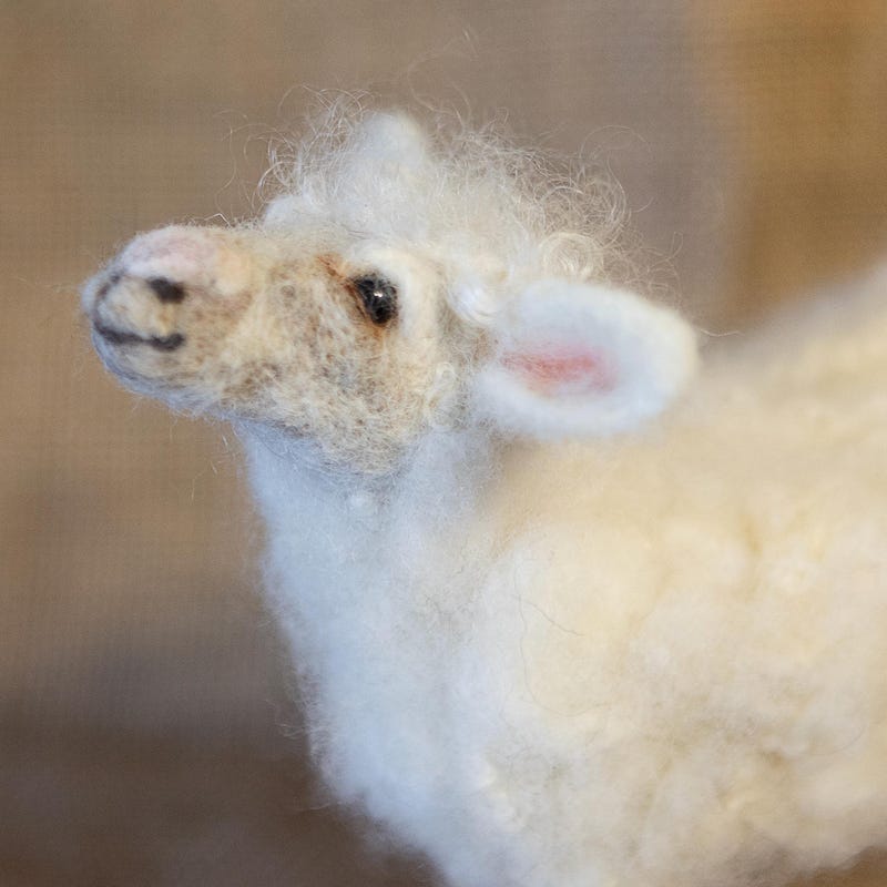 Needle Felted Sheep - Etsy