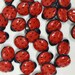 10 Ladybug Buttons Red and Black Ladybug Buttons Crafts Supplies ...