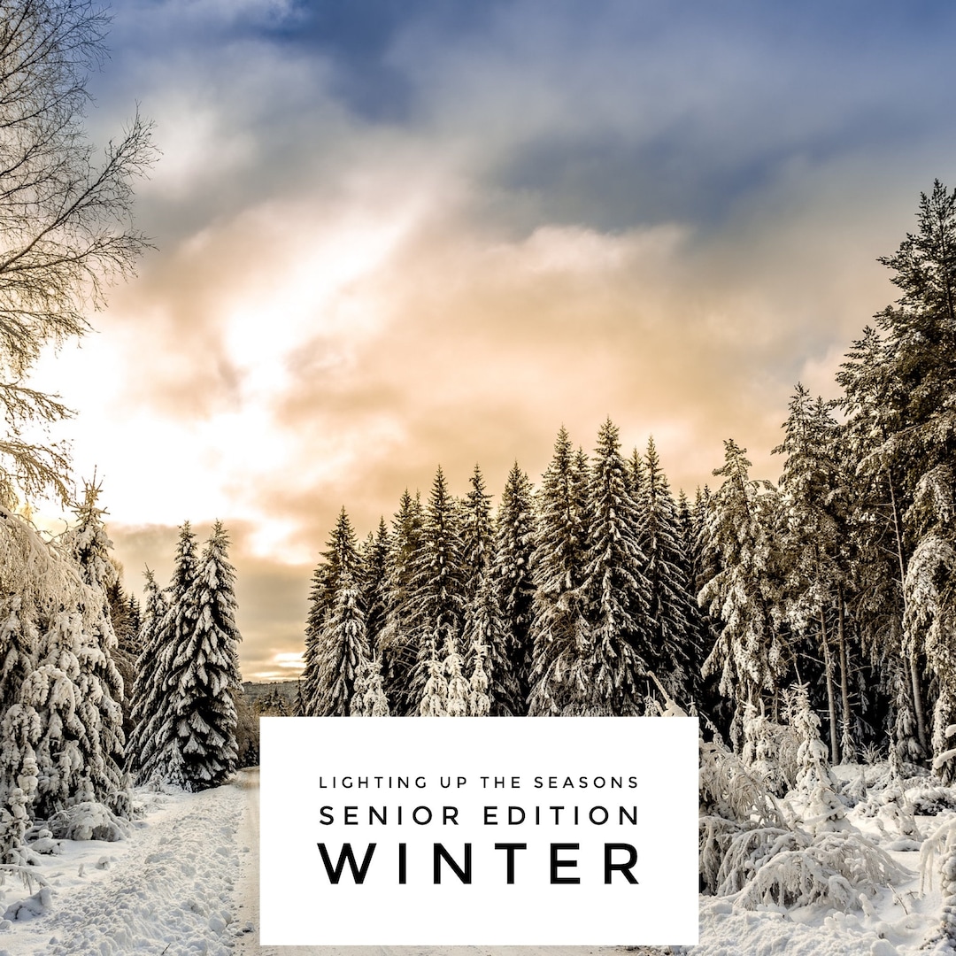 Lighting up Literature... Winter for Ages 7-13 - Etsy