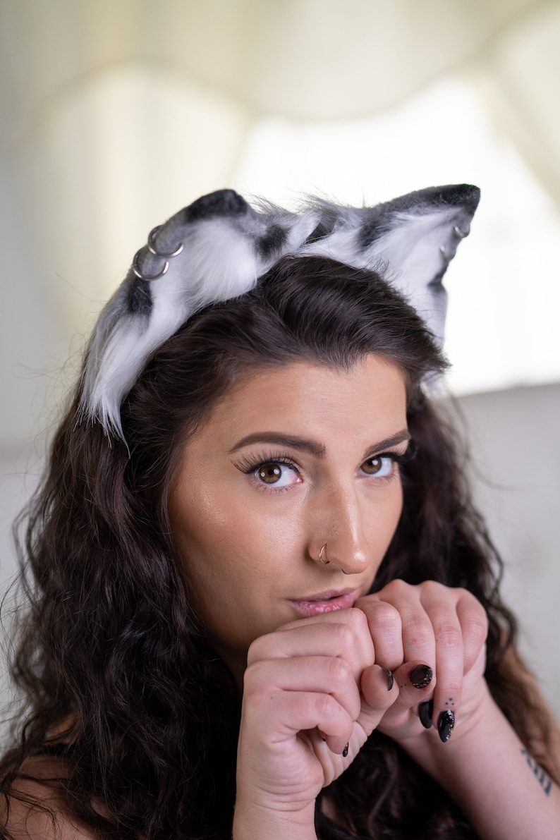 Nekopara Tail Set Anime Cosplay Butt Plug Set Tug Tail - Etsy UK