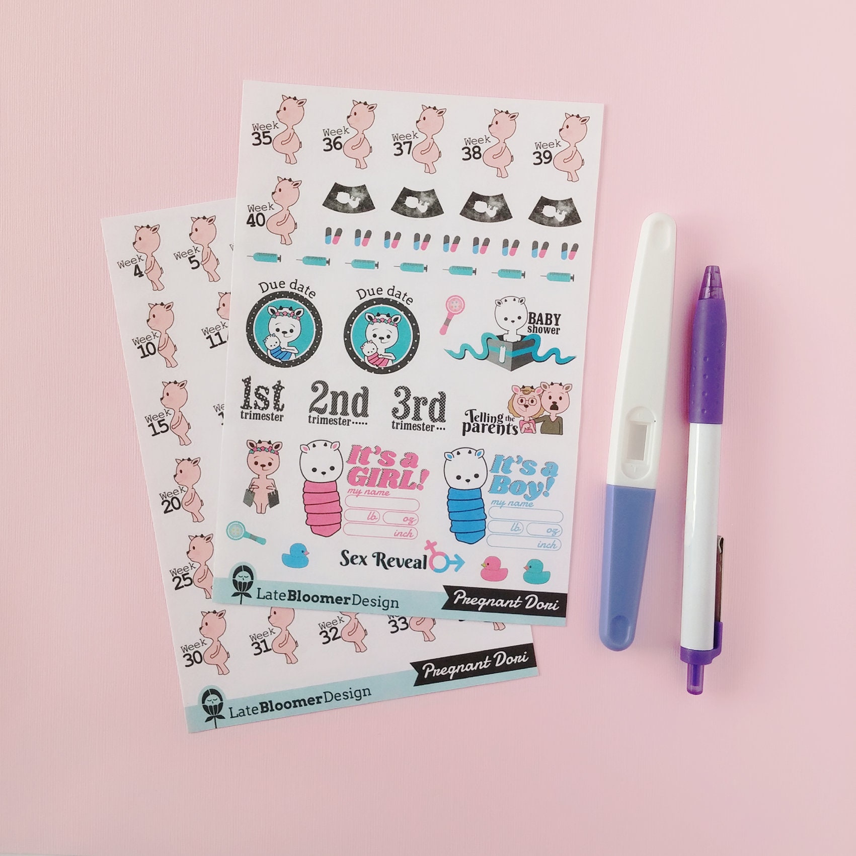 Pregnancy Sticker Kit/pregnancy Planner Stickers/character Stickers ...