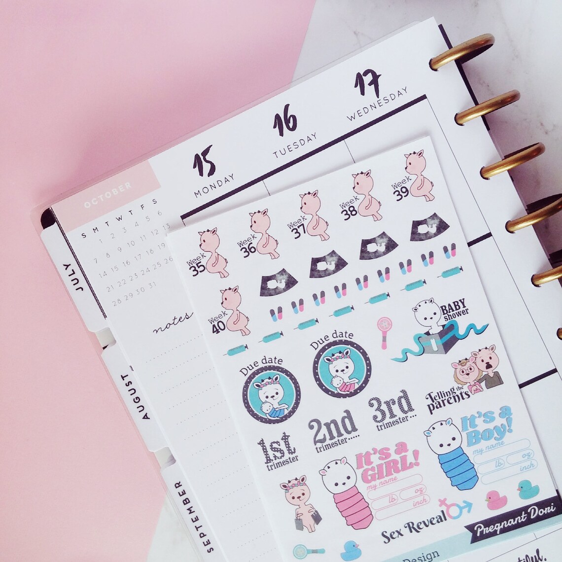 Pregnancy Sticker Kit/pregnancy Planner Stickers/character - Etsy