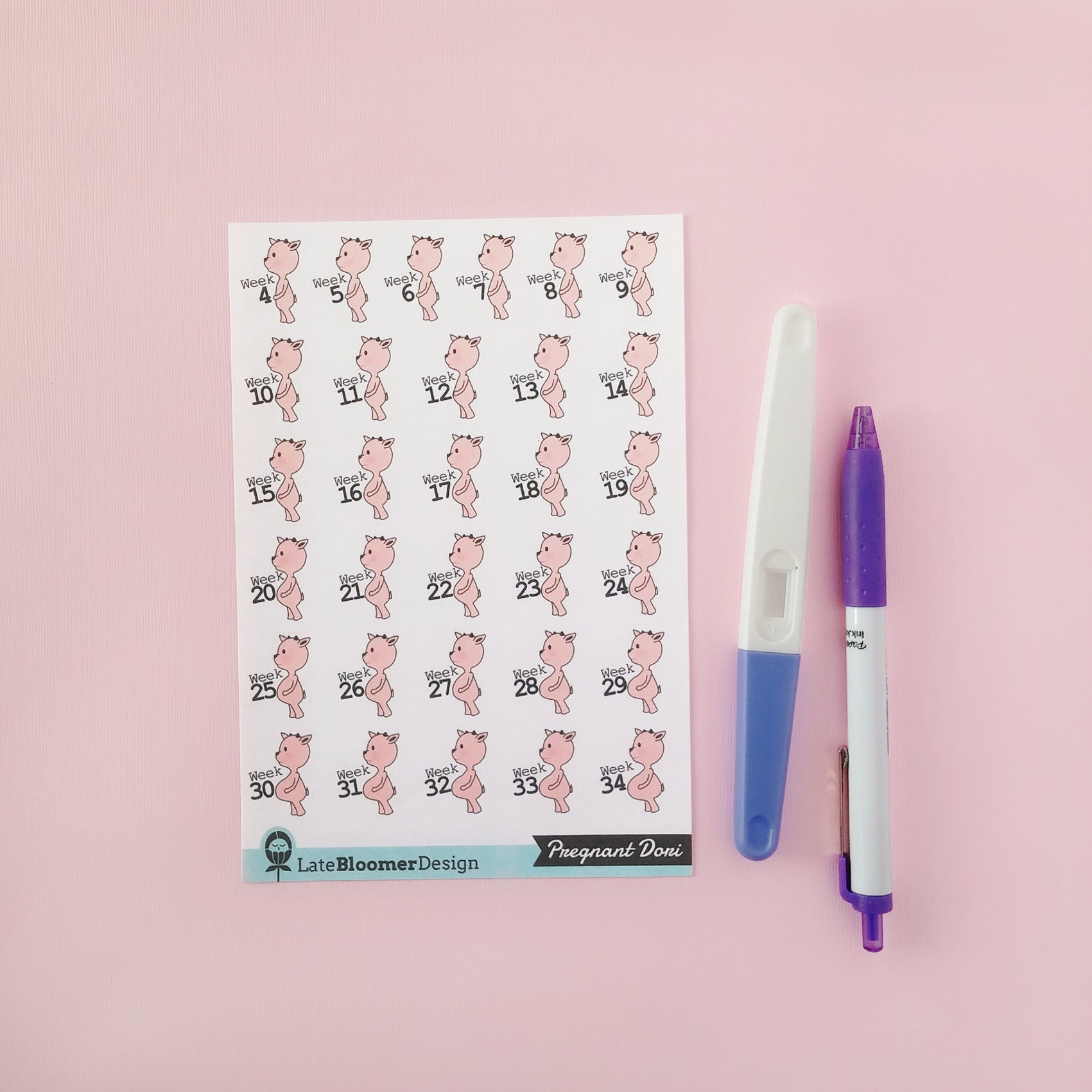 Pregnancy Sticker Kit/pregnancy Planner Stickers/character Stickers ...
