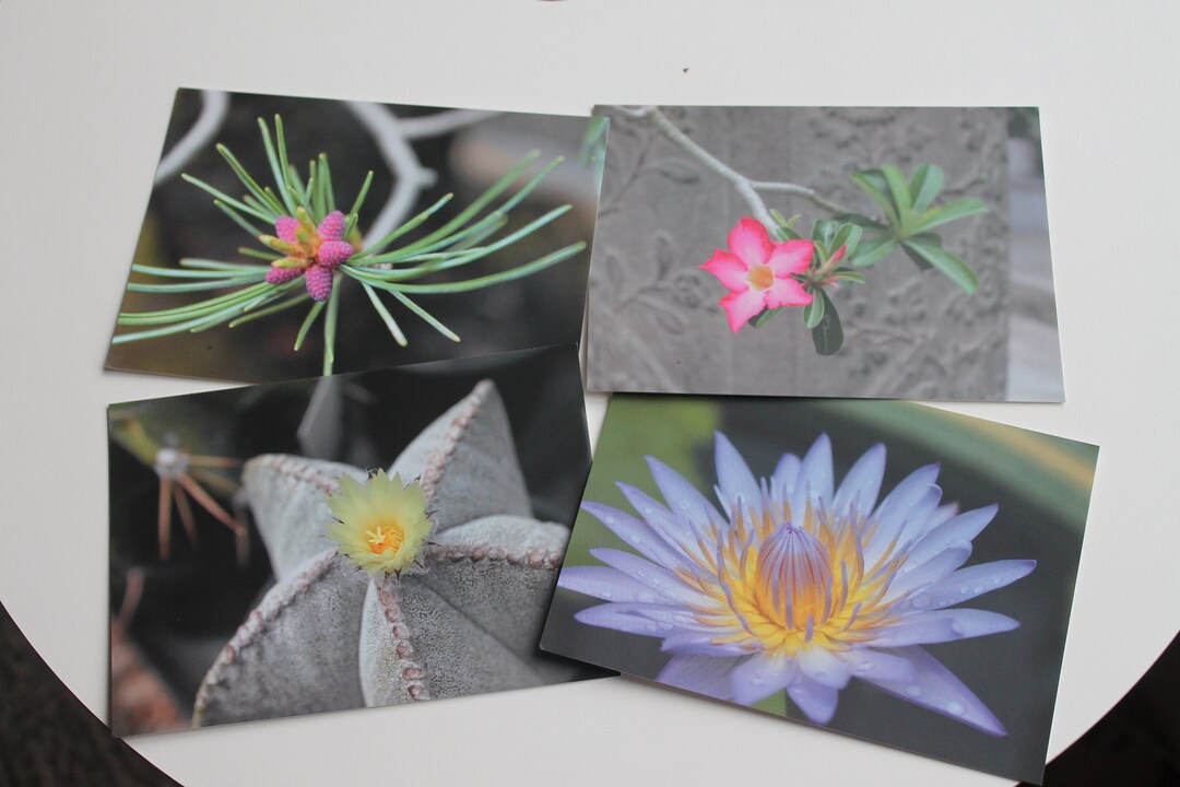 Set of 4 Lovely Plant Postcards - Etsy