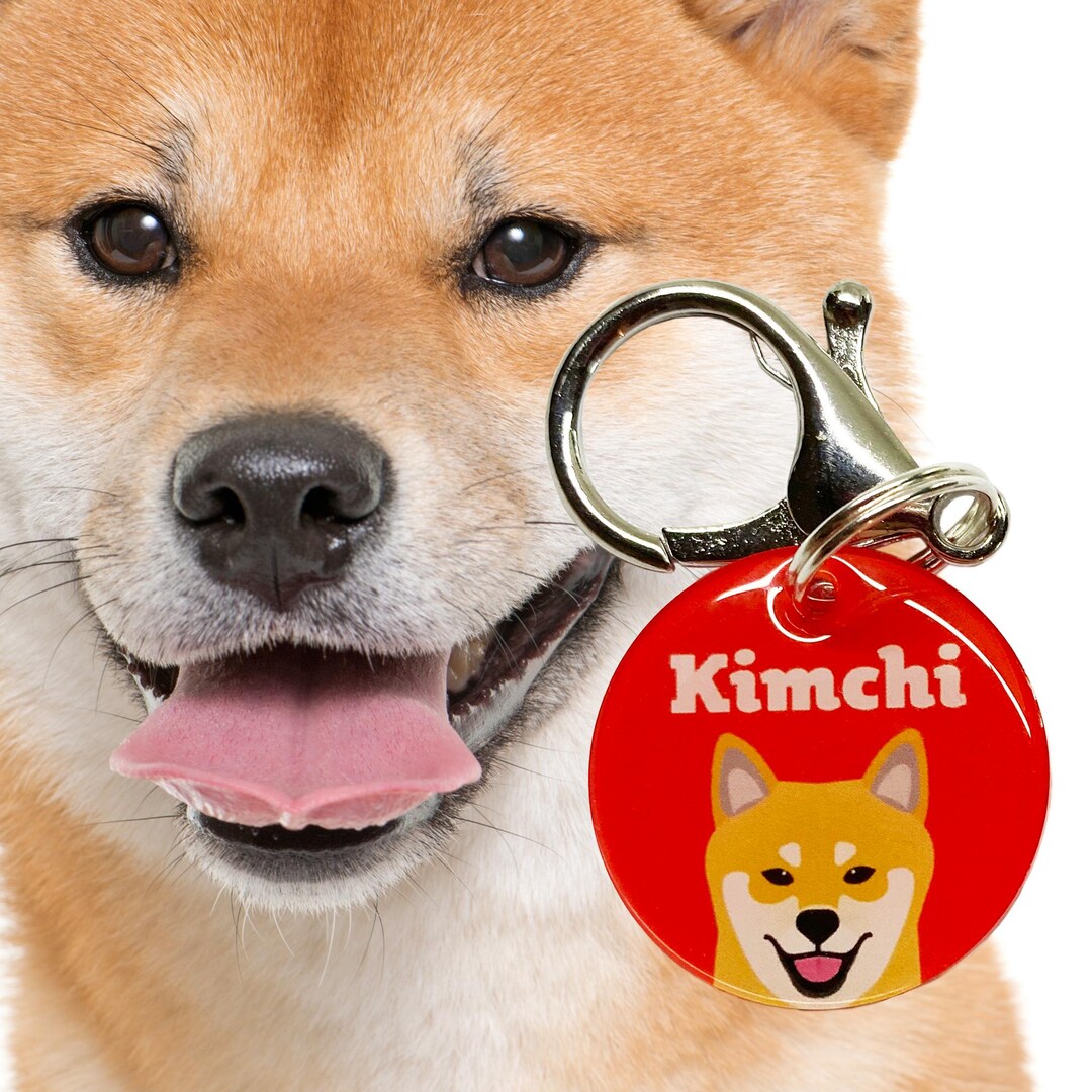 Tan Shiba Inu Dog Name Tag: Durable Acrylic Pet ID, Bashtags - Etsy Italia