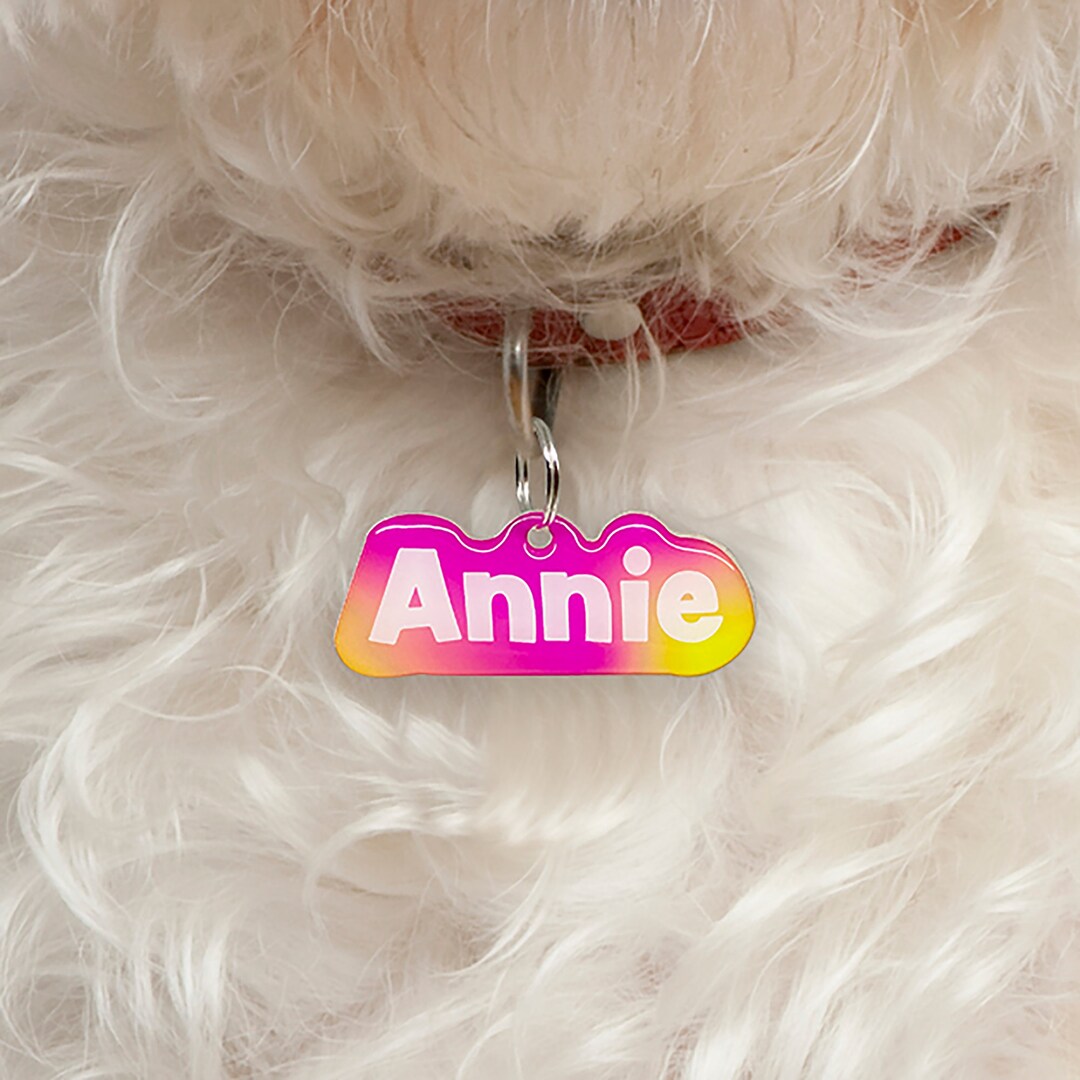 Custom Acrylic Pet ID Tag – Mesh Gradient, Rock-sugar Font - Etsy