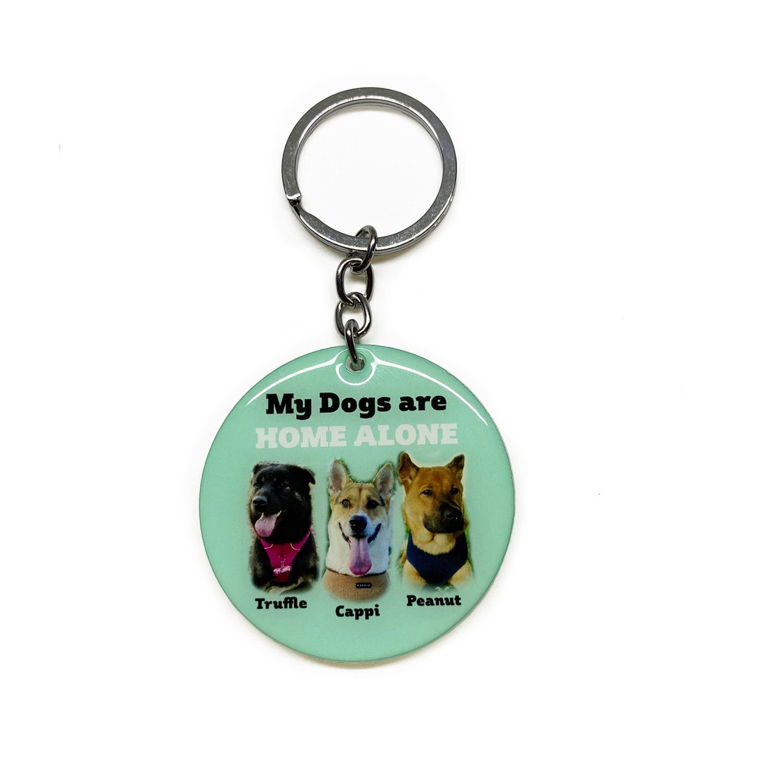 My Pet is Home Alone Alert Keychains, Emergency Pet Keyring Tags ...