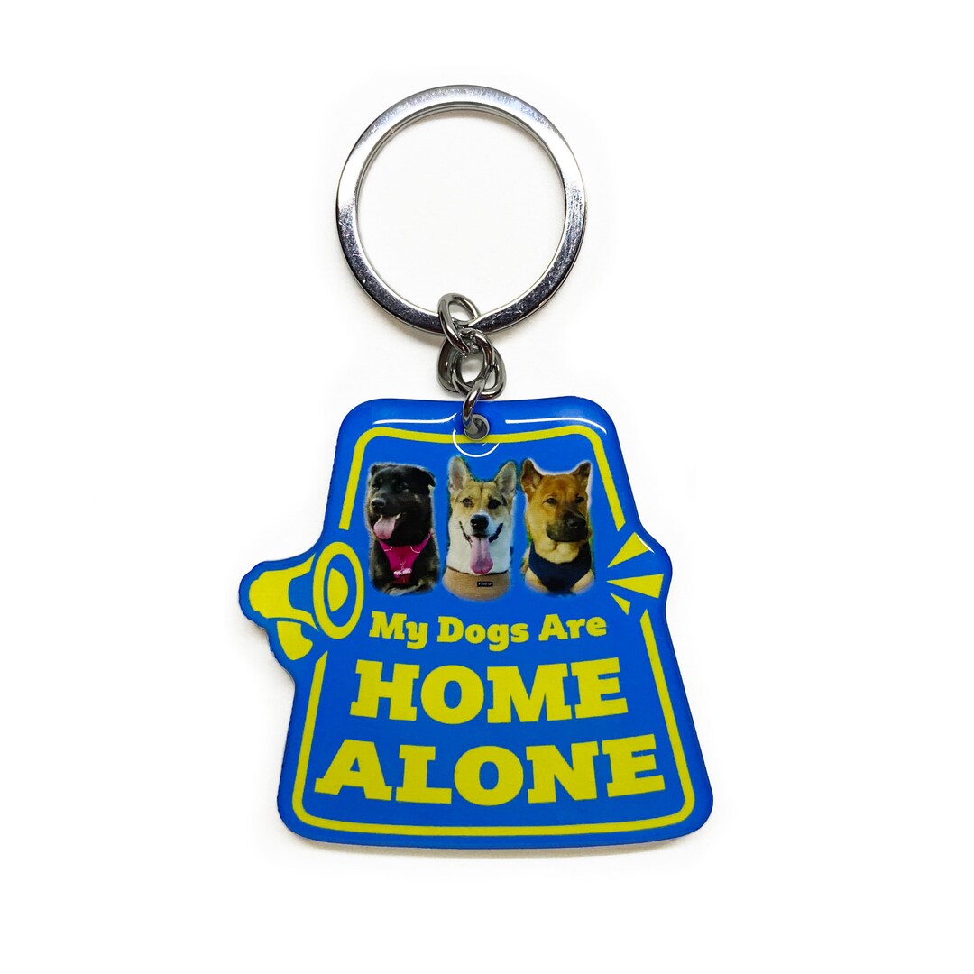 Emergency Pet Alert Keychain: Home Alone Dog/cat Tag - Etsy