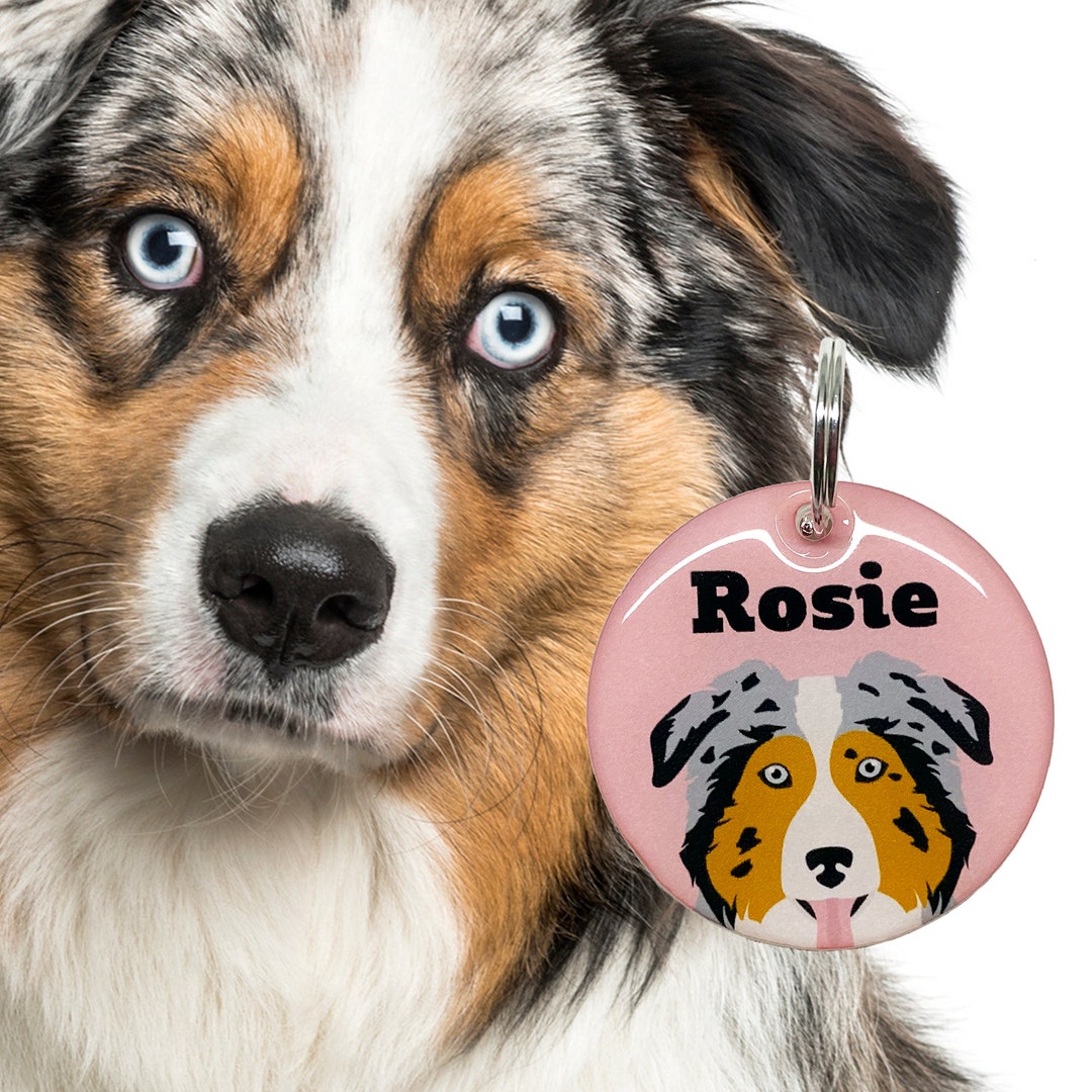 Australian Shepherd Dog Name Tag: Breed Specific Acrylic Pet ID - Etsy