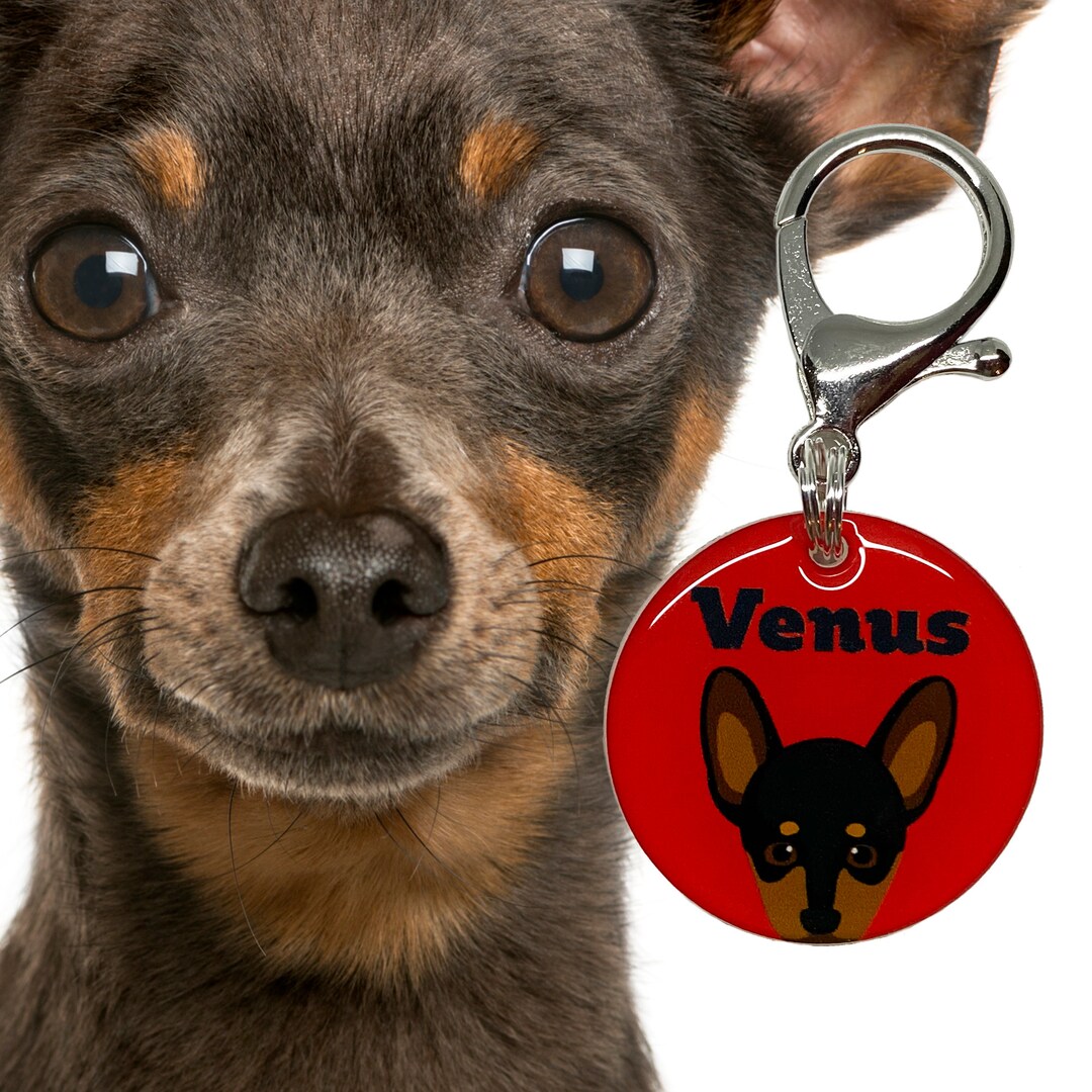 Miniature Pinscher Dog Name Tag: Acrylic Pet ID, Bashtags - Etsy
