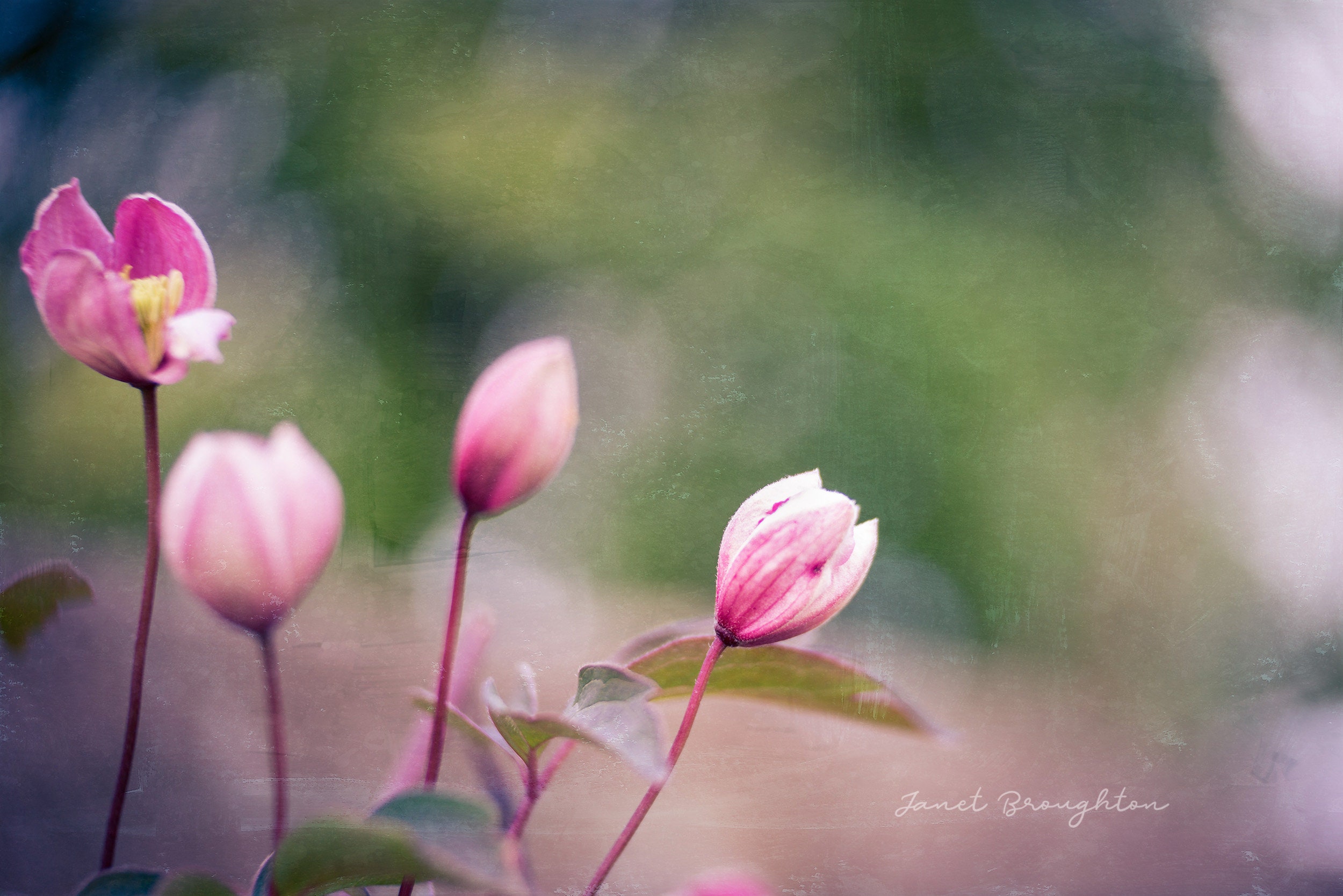 Photoshop Texture Overlays, Daydream Collection - Fine Art Grunge ...