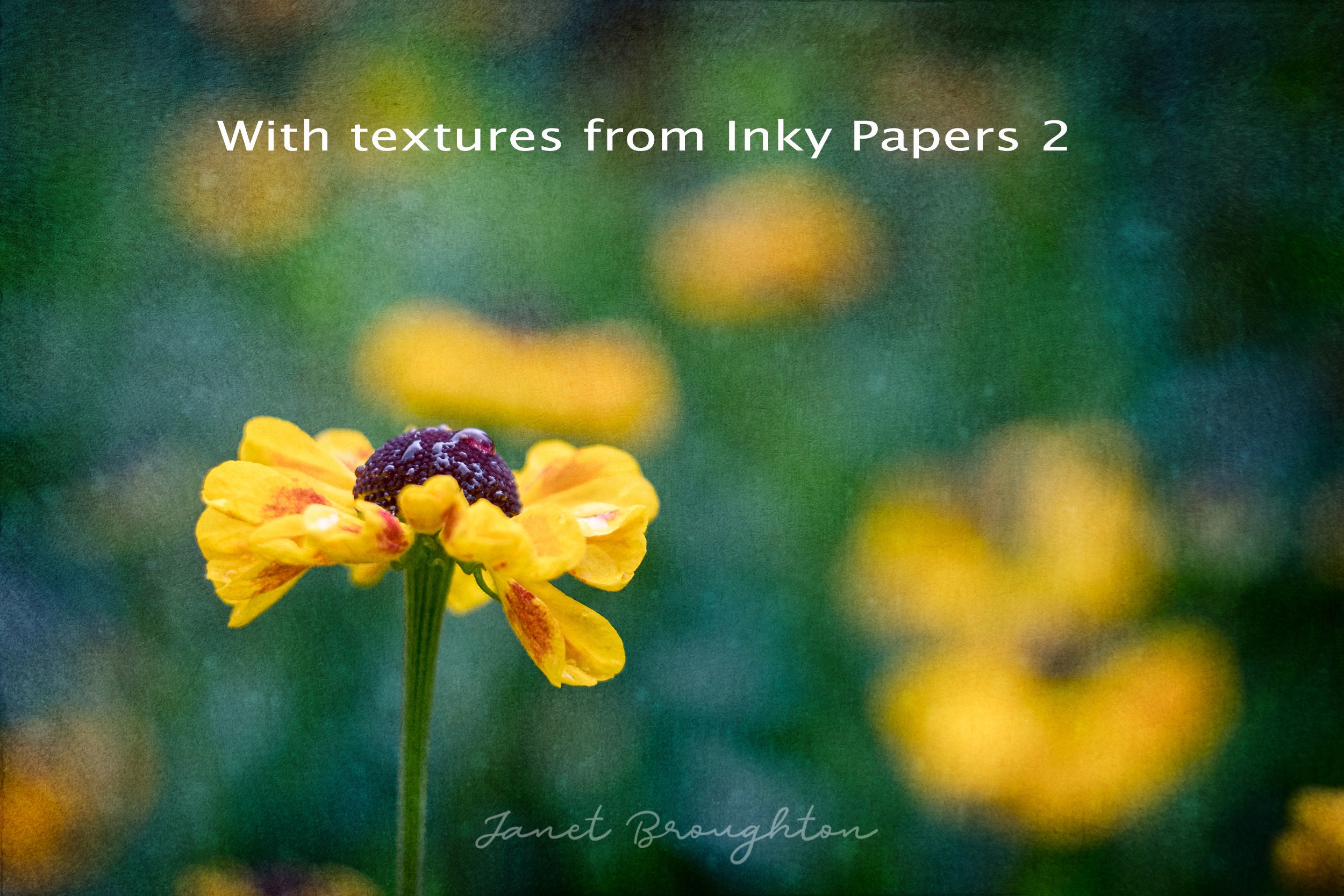 Digital Texture Overlays for Photographers, Inky Papers 2. - Etsy