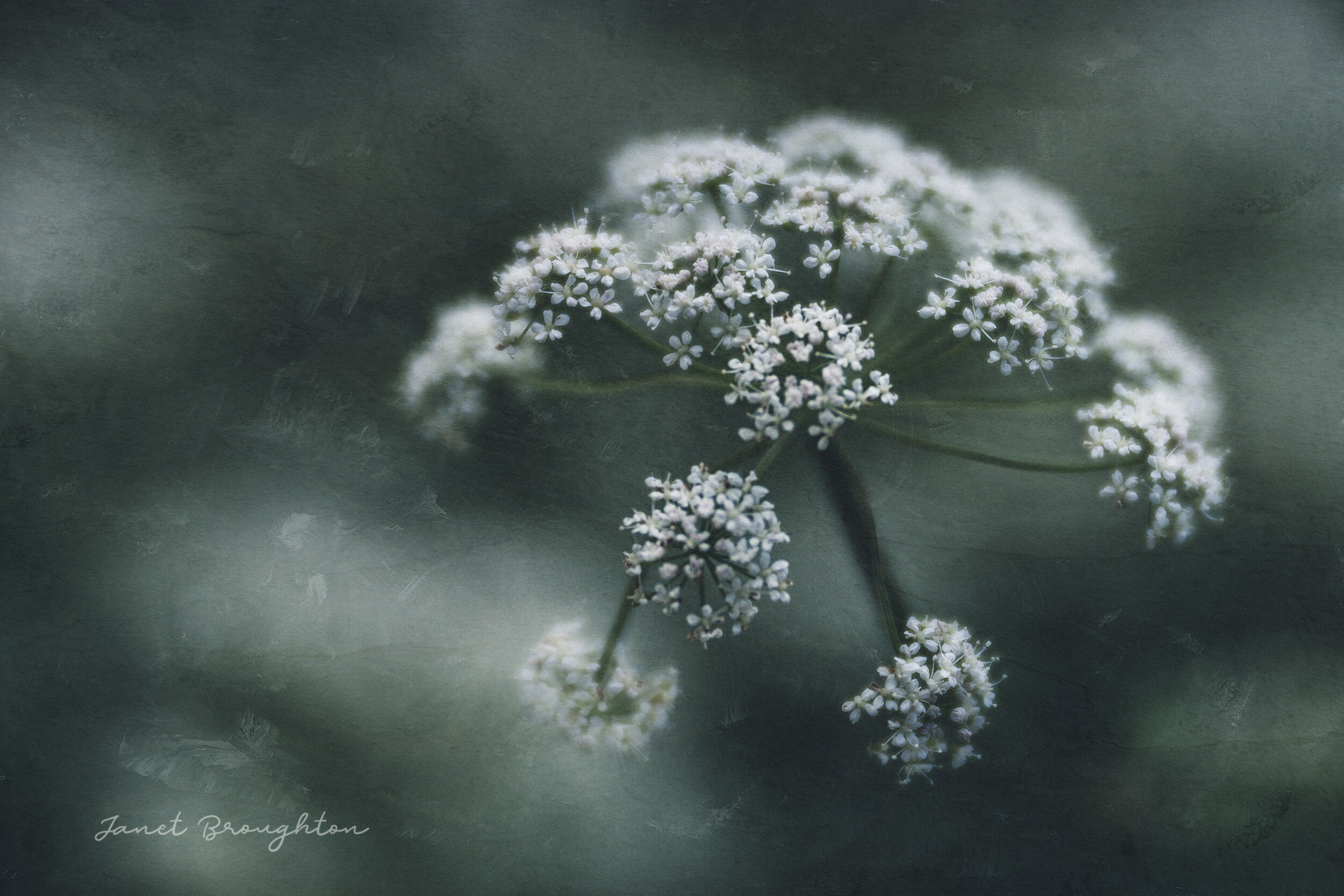 Photoshop Texture Overlays, Daydream Collection - Fine Art Grunge ...