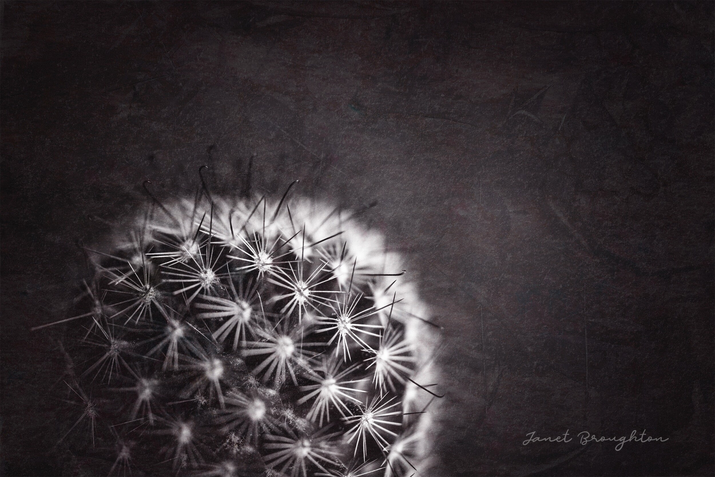 Photoshop Texture Overlays Daydream Collection Fine Art - Etsy