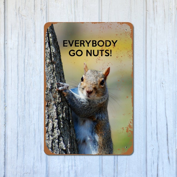 Funny Squirrel Metal Sign 8x12 / Everybody Go Nuts Backyard - Etsy